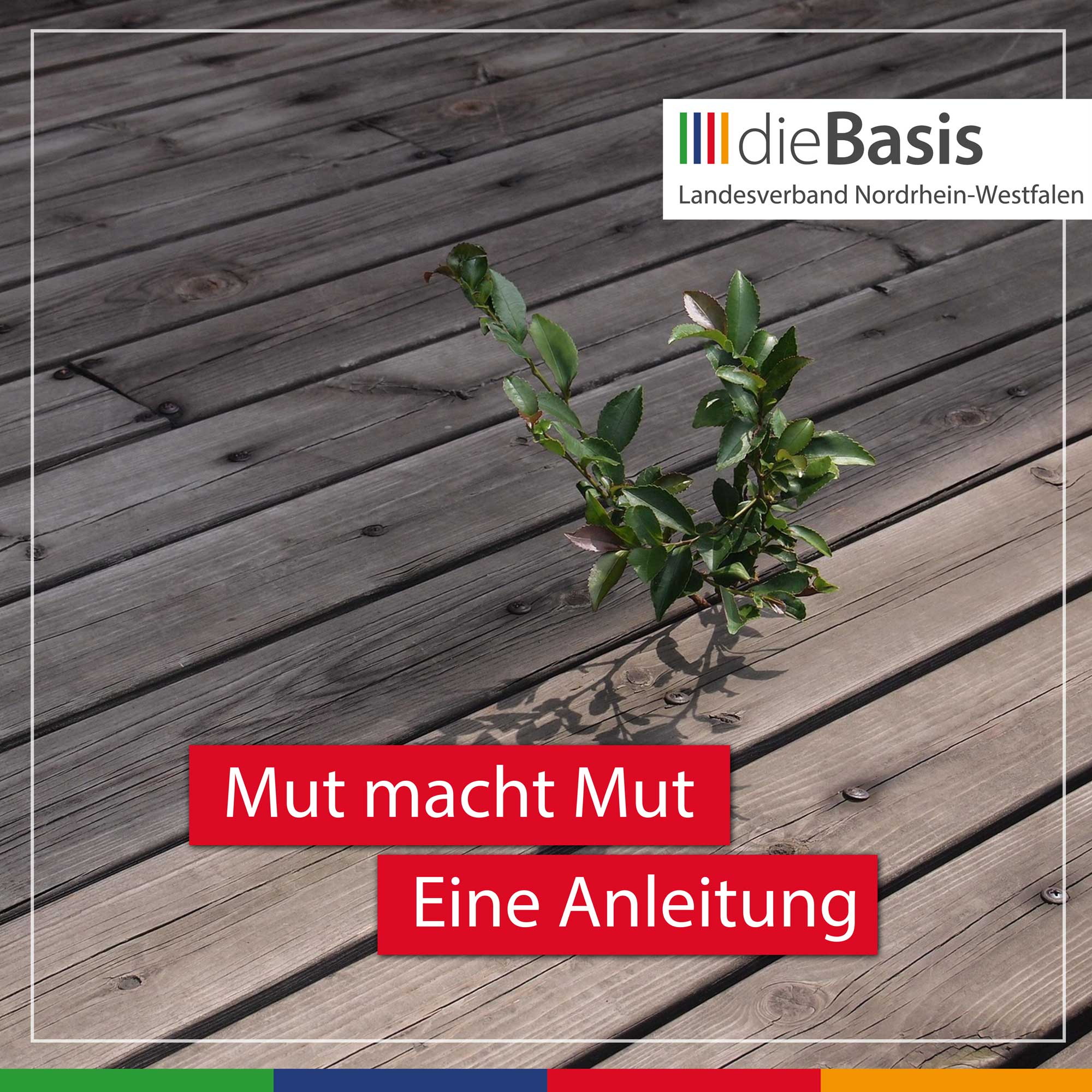 Mut macht Mut: Jetzt aktiv werden - Landesverband NRW | dieBasis